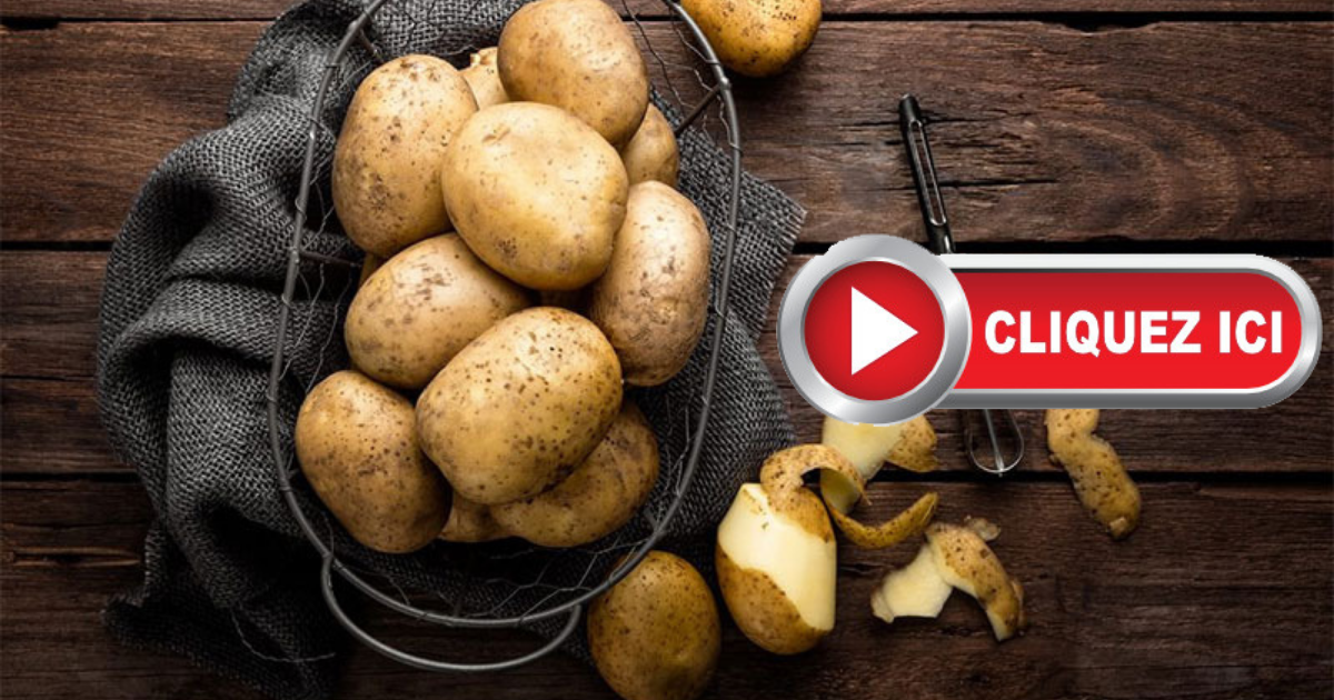Remportez une année complète d’approvisionnement de Patates! - Quebec ...